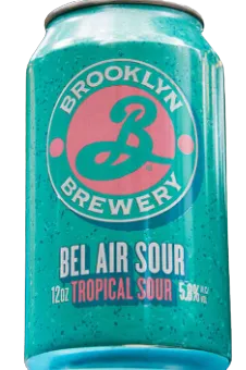 Buy Brooklyn Bel Air Sour Ale Available in 360ml